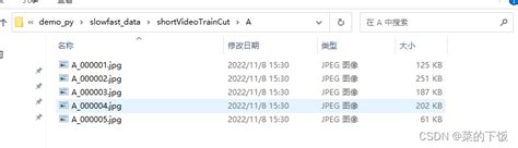 Slowfast Csdn