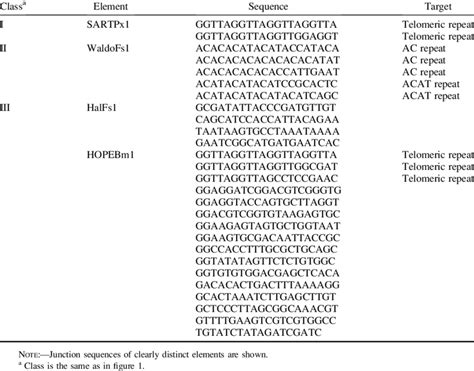 39 Junction Sequences Determined By Inverse Pcr Download Table