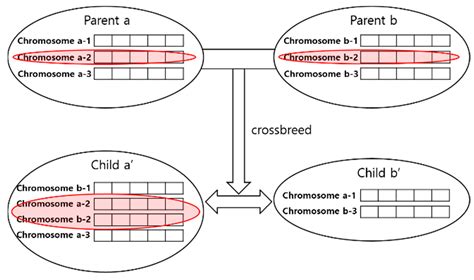 design of warship simulation using variable chromosome genetic algorithm