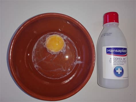 Experimentatutambien Huevo Frito