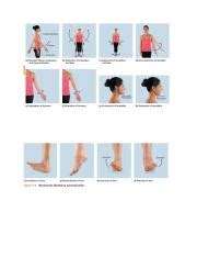 Lab Practical Pdf Course Hero