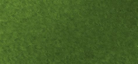 Grass Top View Png