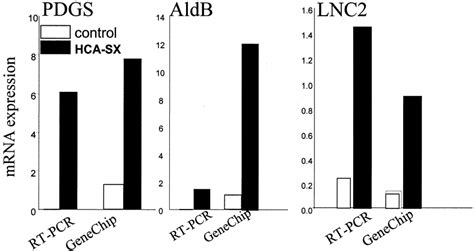 Real Time Pcr Validation Of Genechip Microarray Expression Analysis