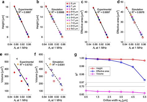 linear fitting of experimental and simulation data with different