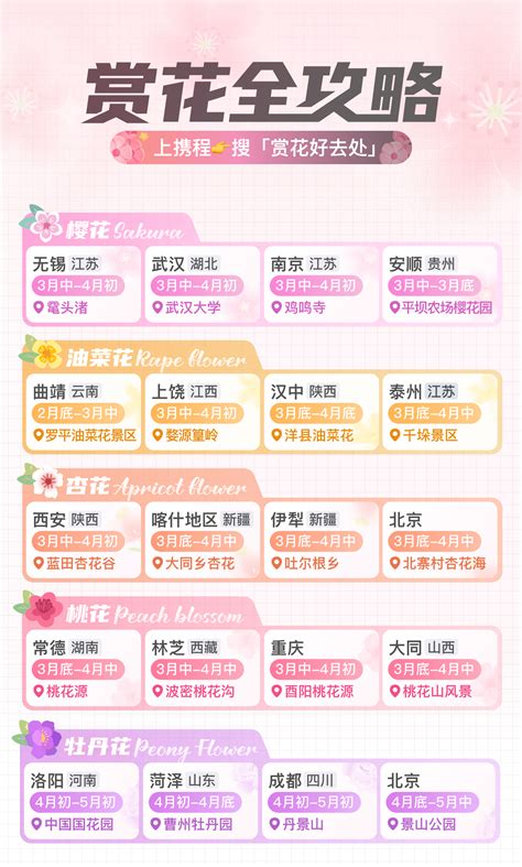 花开正好全国热门赏花地可按图索骥 武汉 新闻中心 长江网 cjn cn