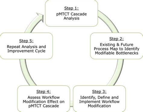 Five Steps Of The Systems Analysis And Improvement Approach Saia