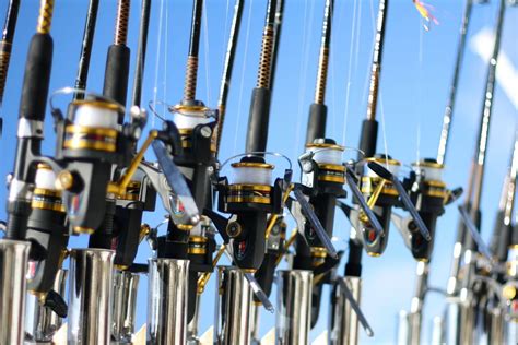 Types Of Fishing Rods The Ultimate Guide For Anglers Of All Levels ReelRapture