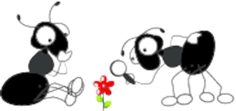 Artwork Depicting Two Ants Transporting A Stem Section Vector Cartoon