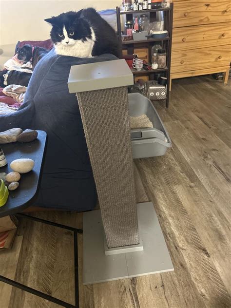 SMARTCAT The Ultimate 32 In Sisal Cat Scratching Post Gray Chewy