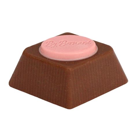 Raspberry Milk Master Chocolat