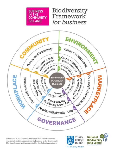 Our New Biodiversity Framework For Business Business In The Community