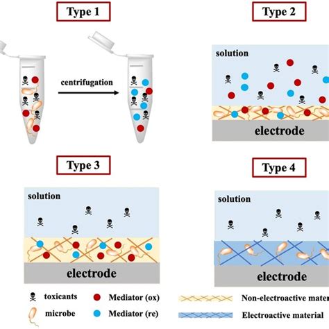 Schemes Of Four Types Of Electrochemical Biosensor Construction