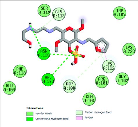 Interaction Of Compound 2j In The Binding Pocket Of 1z11 Receptor