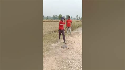 Hamari Se Nahin Hogi Tarah Ki Naukari Chahie Naukari Ke Liye Youtube