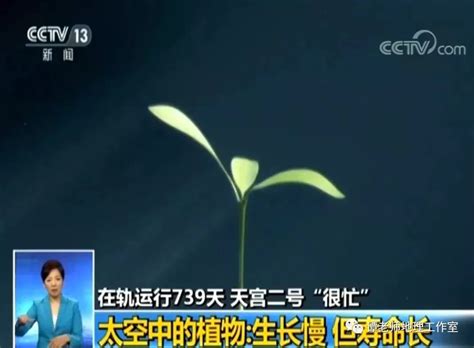 换个角度看天宫二号的故事凤凰网