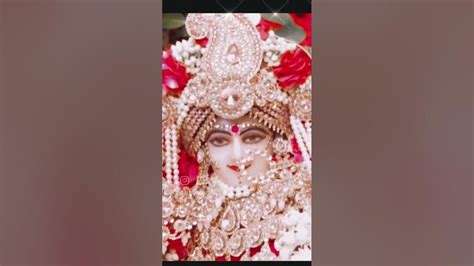 अरे रमा रिमझिम बरसे पनिया झूले राधा रानिया हे सखी 🙏🌹vrindavan Shots