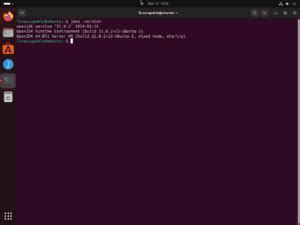 How To Set Java Environment Path In Ubuntu LinuxCapable