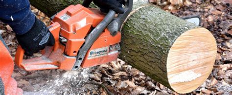Tree Felling Stump Removal In Pretoria Justin Tree Felling