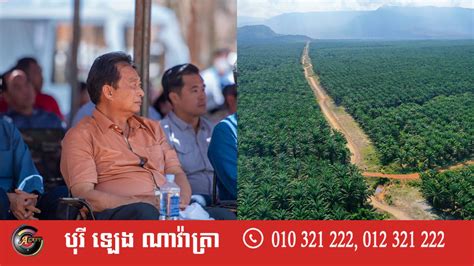 ផ្លូវថ្មី ភ្នំបូកគោ ផ្លូវជាតិលេខ៤ ឈូសឆាយដូងប្រេង អ្នកឧកញ៉ា ម៉ុង ឫទ្ធី អស់ជាង ៣០០០ដើម ផ្លូវថ្មី