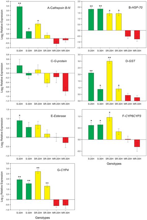 quantification of relative expression in different genotypes of myzus