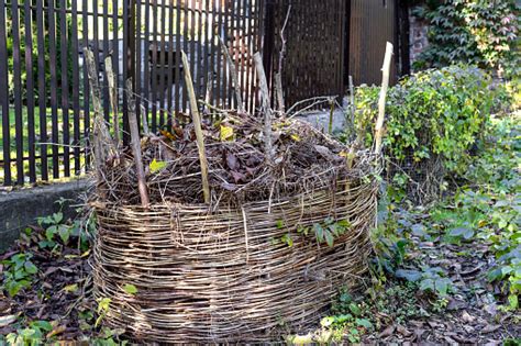 식물 배설물을 위한 퇴비 쓰레기통은 친환경 재활용을 지원하기 위해 정원에 설치되어 있습니다 유기 비료는 식물 파편으로 만들어져 지속 가능성과 자연 원예 관행을 촉진합니다