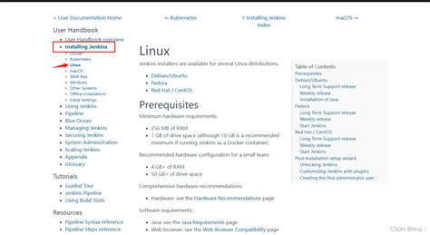 linux 系统 jenkins 环境部署 llinux查询jenkis版本 csdn博客