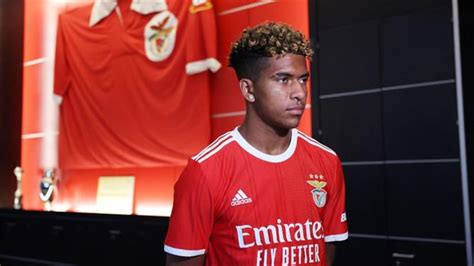 Comentários Benfica Joshua Wynder Os Valores Do Negócio Abolapt