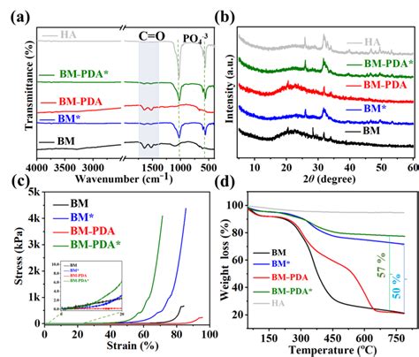 Structural Characterization Of The Pristine And Mineralized Scaffolds