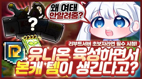어디서도 못 본 1~200 리부트 전용 유니온 육성 루트 Youtube