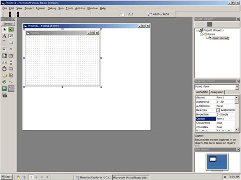 Informatica Visual Basic