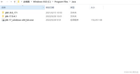 更换java版本环境变量burp Suite安装 小黑渗透工程栈（工具篇1）burpsuite对应java版本 Csdn博客
