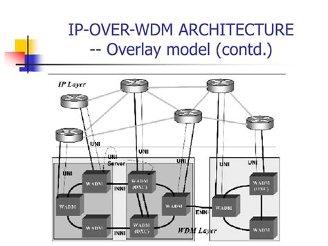 ppt survivability in ip over wdm networks powerpoint presentation
