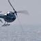 Elicottero 3 5 H125 Airbus Helicopters Multifunzione Da