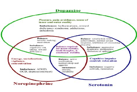 Serotonin Norepinephrine Dopamine Venn Diagram Pin On Tatuaj