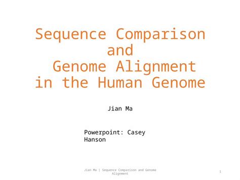Understanding Genome Alignment Algorithms With Python Peerdh