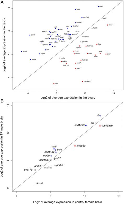 Large Scale Transcriptome Sequencing Reveals Novel Expression Patterns