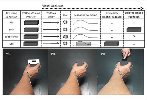 Schematic Of Visual Auditory And Haptic Events For The Memory Guided Download Scientific