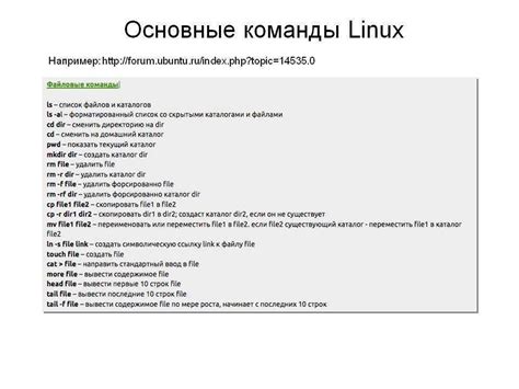 Консольные команды linux Базовые команды Linux для тестировщиков и не