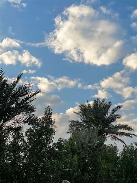 Pin Von Salam Khudeeda Auf مرات الحفظ السريع