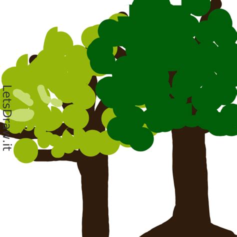 How To Draw Trees Rz1wgoa85 Png LetsDrawIt