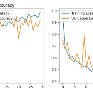 My Model Performance On Augmented Dataset Download Scientific Diagram
