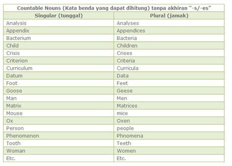 Detail Contoh Singular Noun Koleksi Nomer