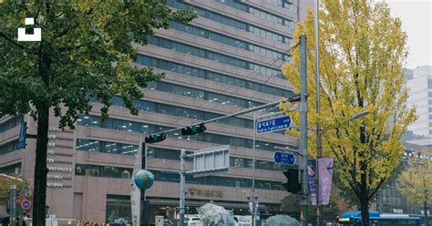 우산을 들고 거리를 걷는 한 무리의 사람들 사진 Unsplash의 무료 자동차 이미지