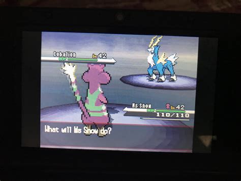 Gen5 The Fourth Member Of My Shiny Team In Pokemon Black Rshinypokemon