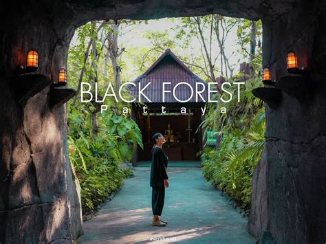 📍black Forest Pattaya แกลเลอรีที่โพสต์โดย ผีบ้ากับขาจร🏕 Lemon8