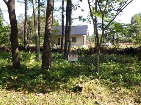 【不動産ジャパン】物件詳細：宮城県柴田郡川崎町大字前川字羽根坂山／陸前白沢駅の物件情報：売地