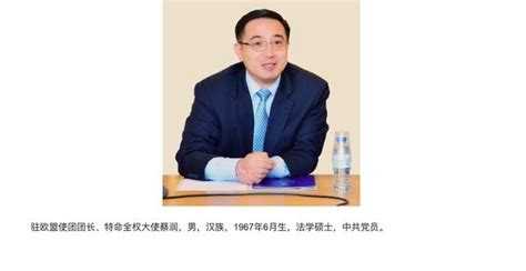 蔡润已任中国驻欧盟使团团长、特命全权大使腾讯新闻