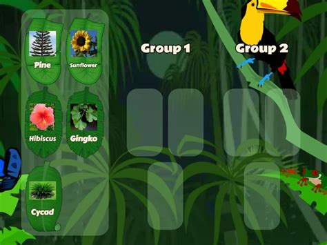 Classify The Following Group Sort