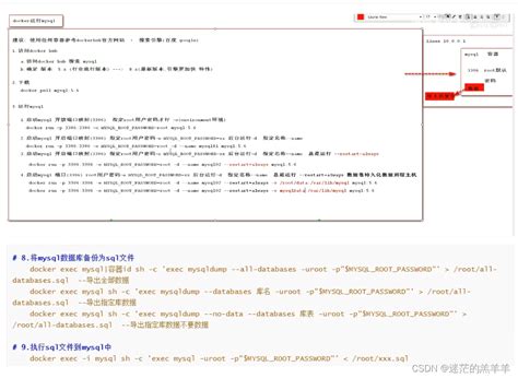 docker启动各种服务