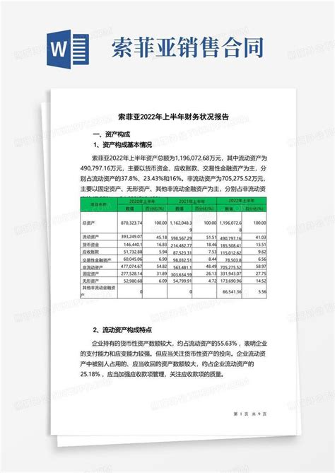002572索菲亚2022年上半年财务状况报告Word模板下载 熊猫办公